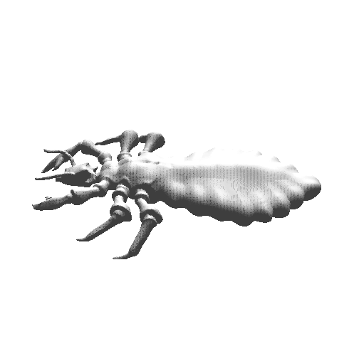 Head lice – E3D+Vet